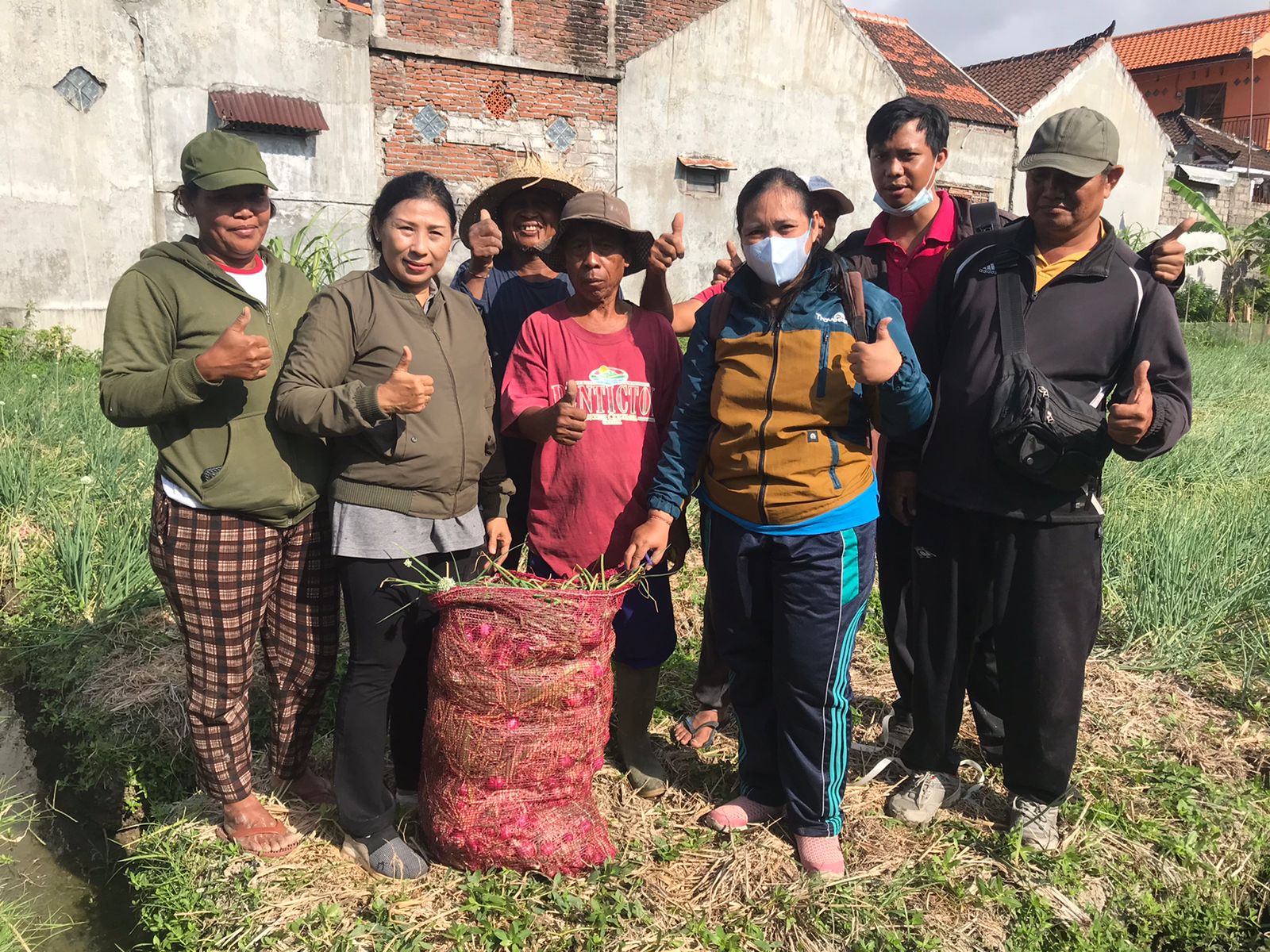 Pelaksanaan panen sebagai upaya berkelanjutan dalam pengendalian ...